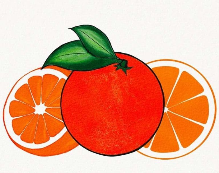 35 Easy Fruit Drawing Ideas for Beginers - Choose Marker