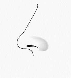 How to Draw Nose for Beginners Easy and Step-by-Step Guideline - Choose ...