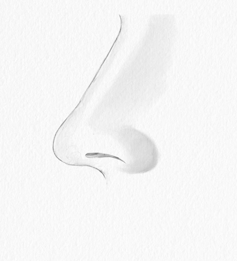 How to Draw Nose for Beginners Easy and Step-by-Step Guideline - Choose ...